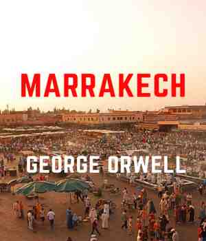 Article | MARRAKECH | MARRAKECH